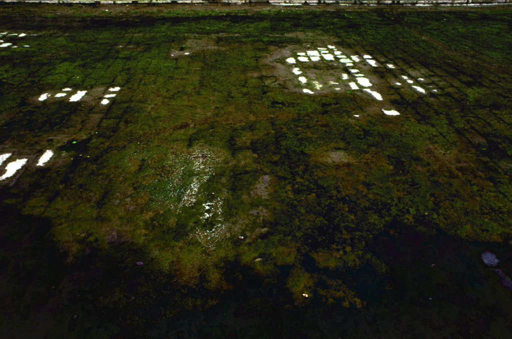 Princess of Funan River 府南河公主 - FAR–NEAR